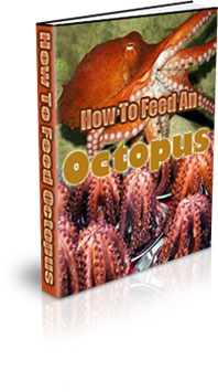 How To Feed An Octopus | How Often To Feed Octopus | What Does An ...