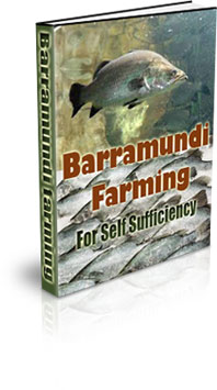 Barramundi Farming For Self Sufficiency | How To Breed Barramundi ...