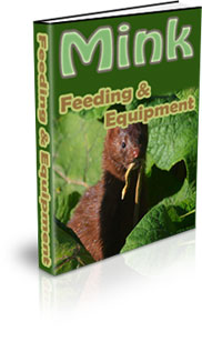 How To Raise Mink | Raising Mink For Profit | Farming Mink For Fur