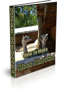 How To Make A Rhea Habitat | Rhea Habitat In The Farm | What Is The ...